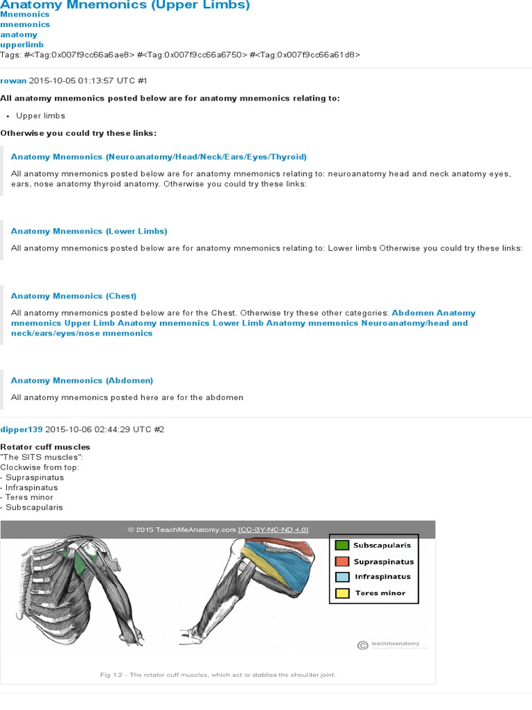 Anatomy Mnemonics Upper Limb Dentistry And Medicine: STUDY GUIDE FOR