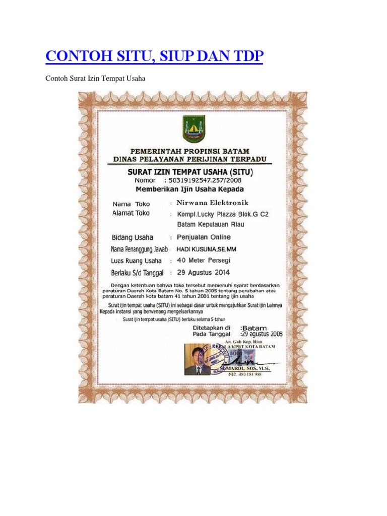 Contoh Situ | PDF