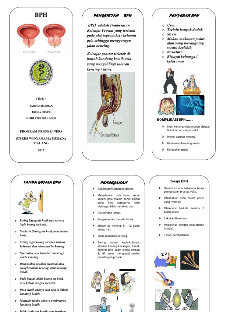 Leaflet BPH | PDF | Kesehatan Holistik