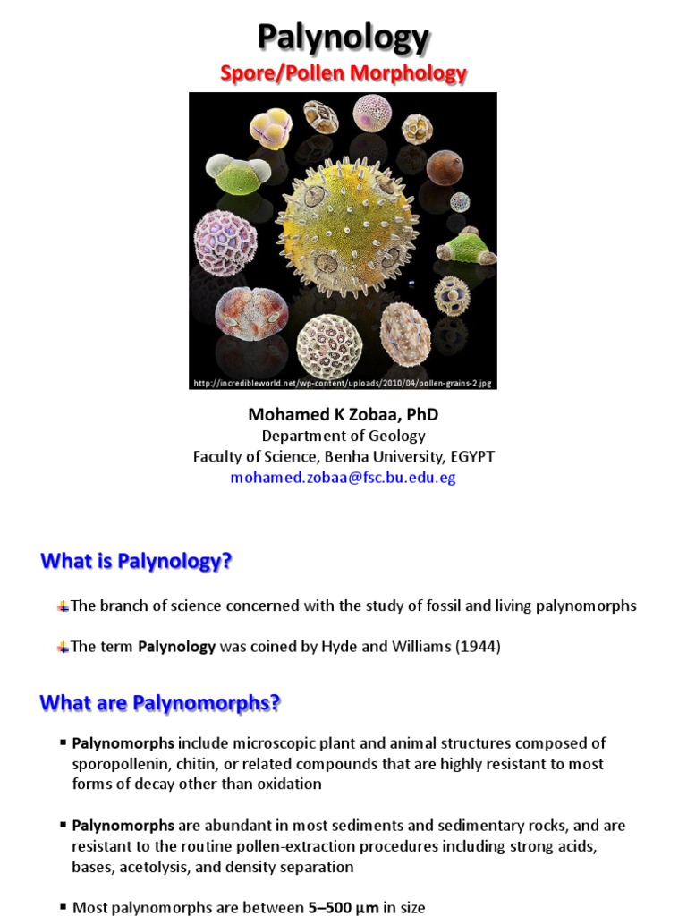 Mohamed K Zobaa - Palynology (Spore-Pollen Morphology) | PDF ...