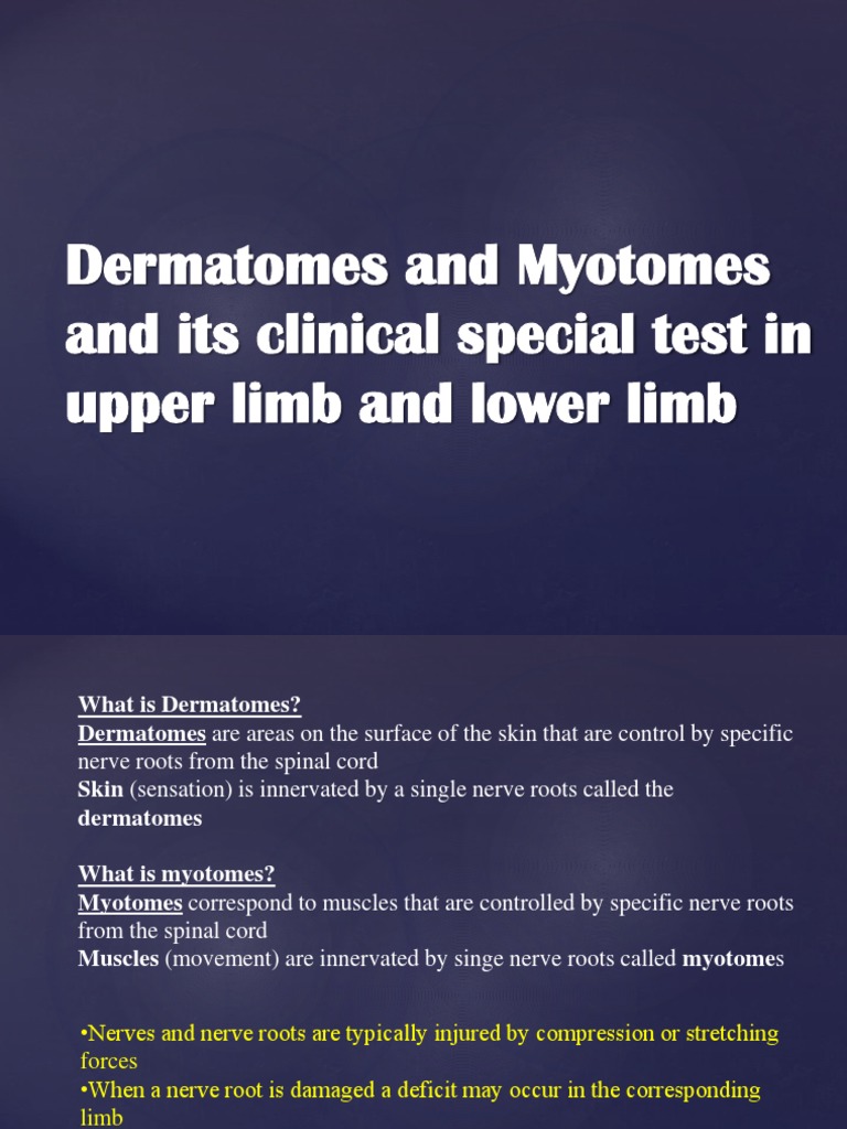 Dermatomes and Myotomes and its clinical special test in upper limb and ...