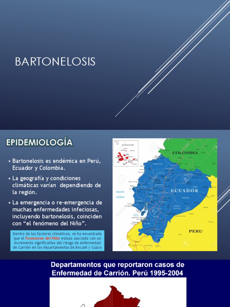 La Bartonelosis en el Perú: Características Clínicas, Epidemiológicas y ...