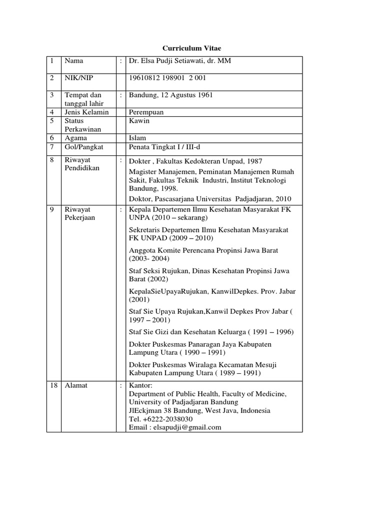 CV Singkat Elsa | PDF