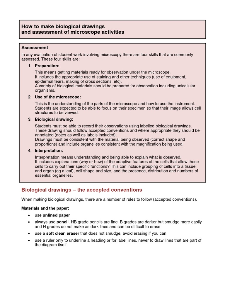How To Make Biological Drawings | Download Free PDF | Microscopy | Drawing