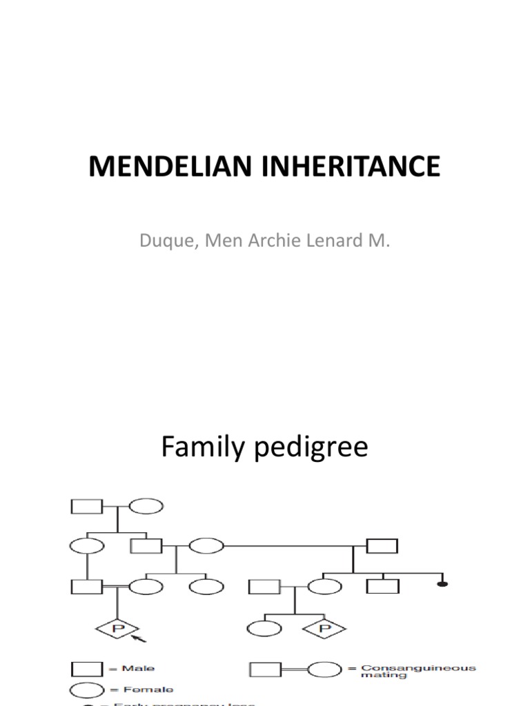 Mendelian Inheritance | PDF