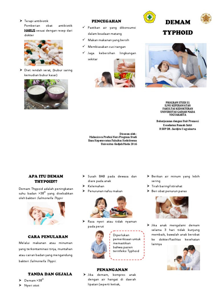 Leaflet Demam Typhoid | PDF