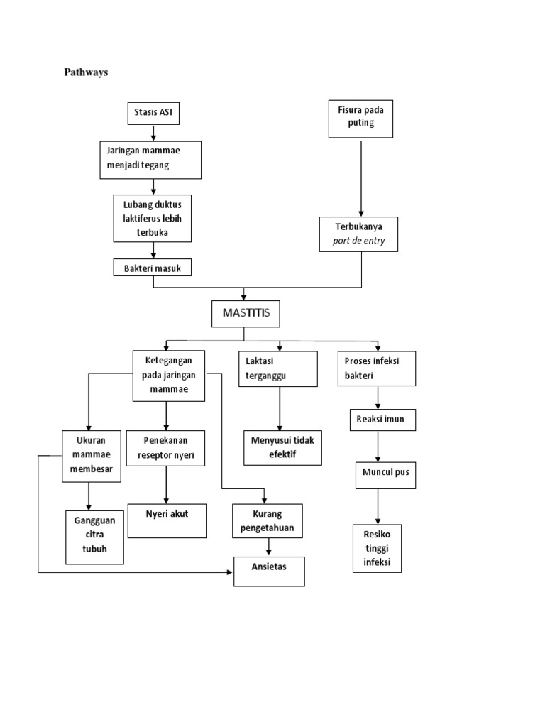 Patogenesis dan Gejala Mastitis | PDF