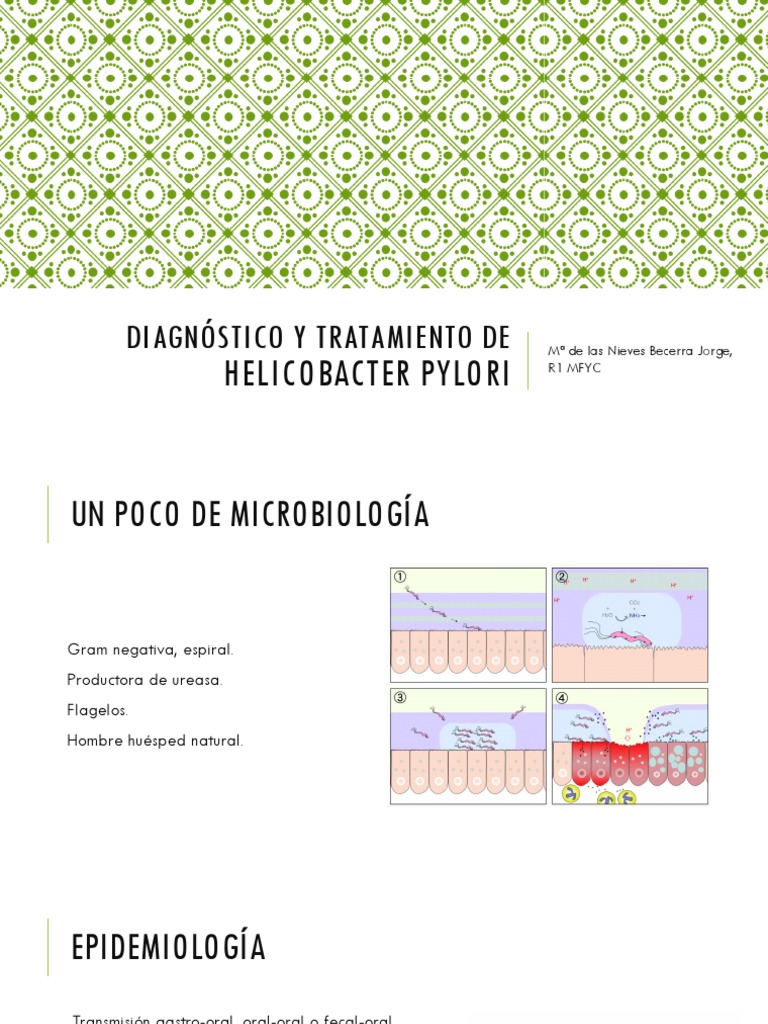 Diagnóstico Y Tratamiento De Helicobacter Pylori