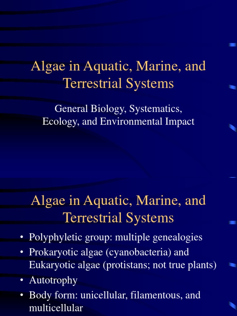 Algal Presentation | PDF | Algae | Cyanobacteria
