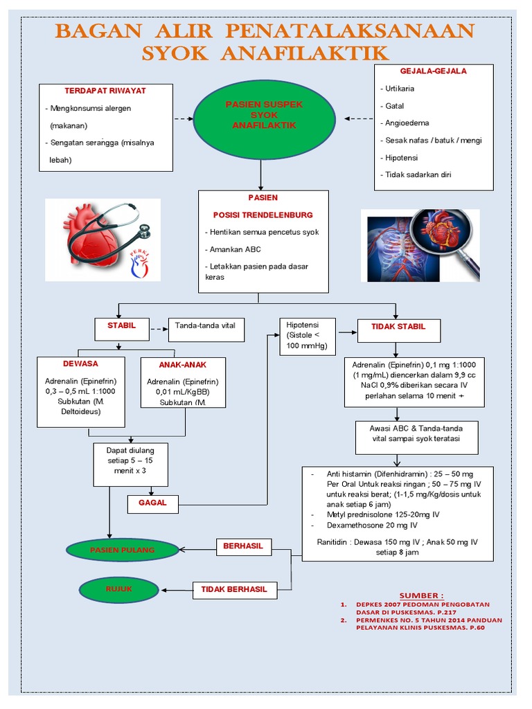 337308929-Alur-Syok-Anafilaktik-Tempel-Fix.docx
