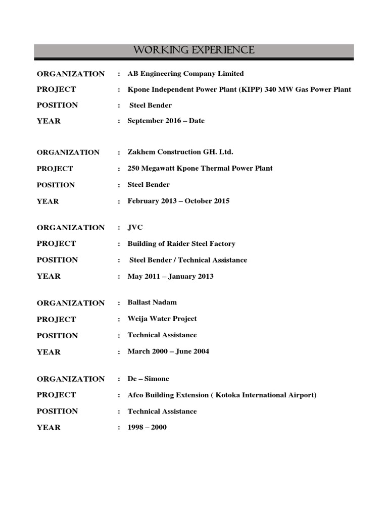 Working Experience: Organization Project Position Year | PDF