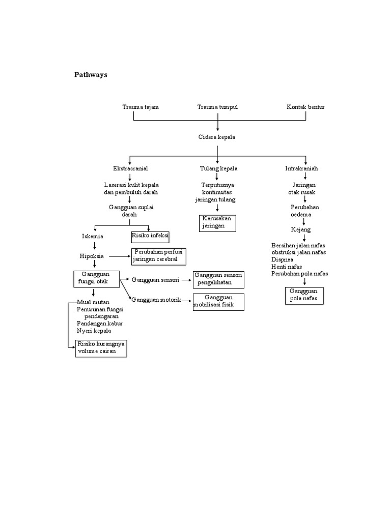 Pathway Head Injury | PDF