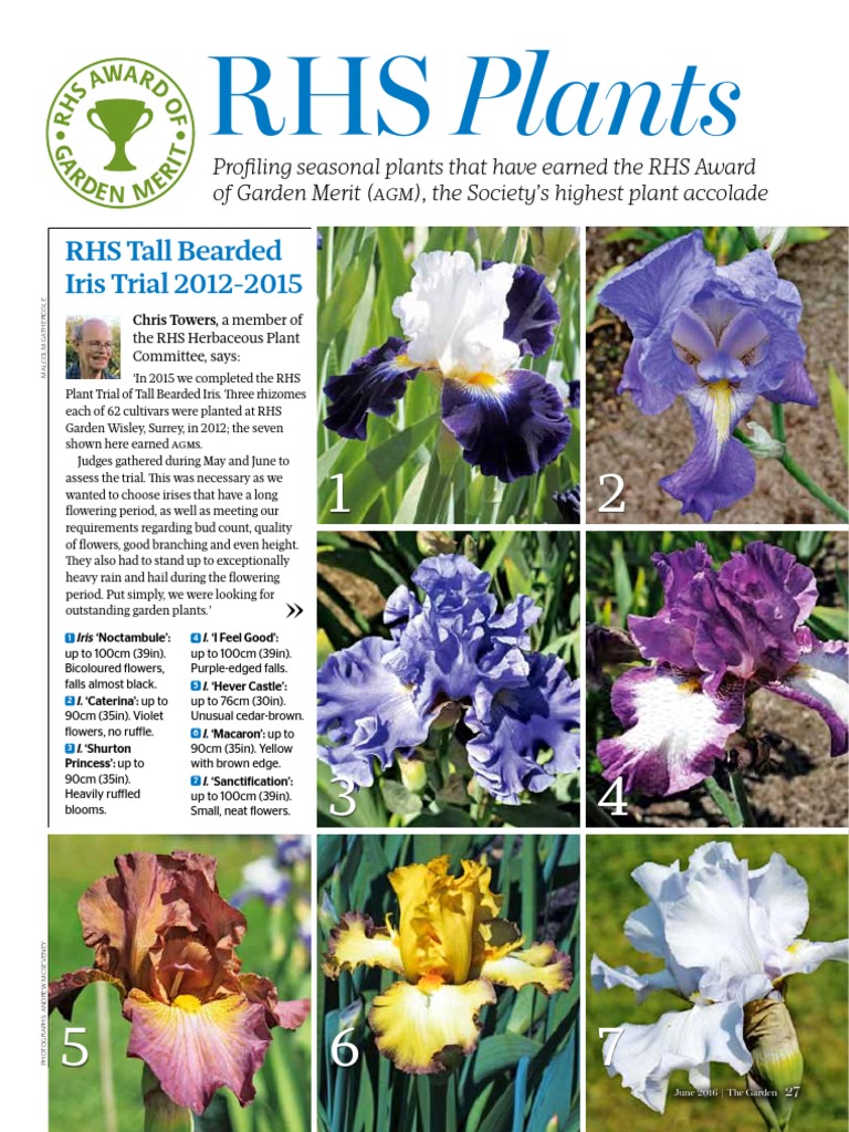 Iris Enthusiasts' Guide | PDF | Flora | Plants