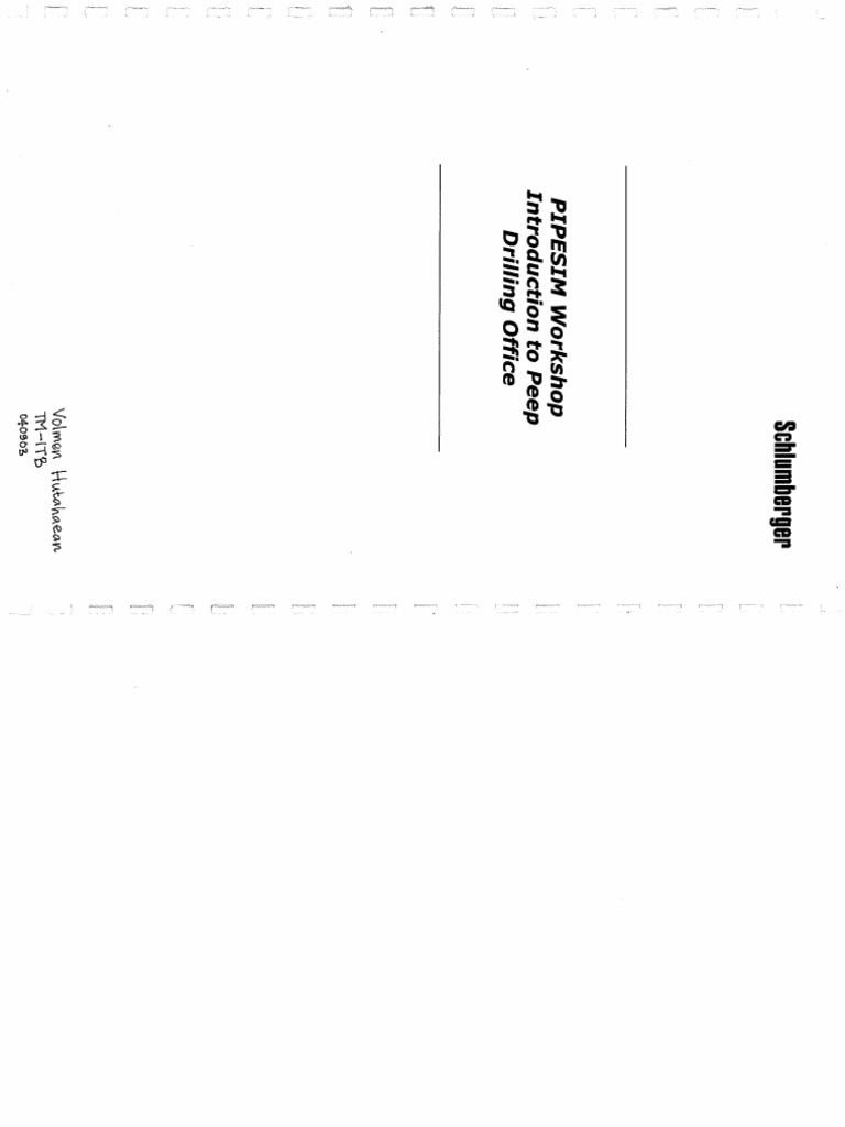 Pipesim Handbook | PDF