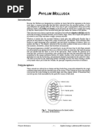 Anatomy and Function of Columella | PDF | Molluscs | Skeletal System