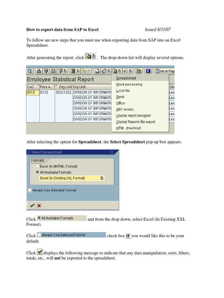 How To Export Data From SAP To Excel PDF | PDF