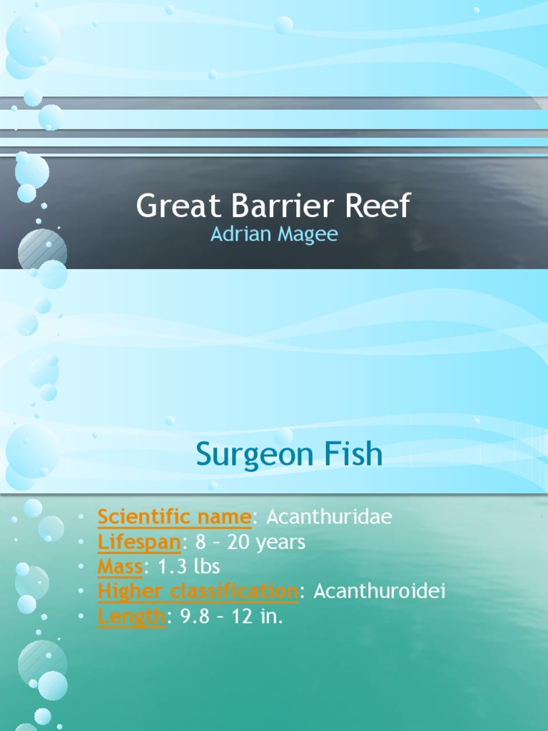 Great Barrier Reef | PDF