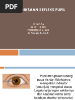 Ukuran Pupil Mata Normal dan Kelainan | PDF