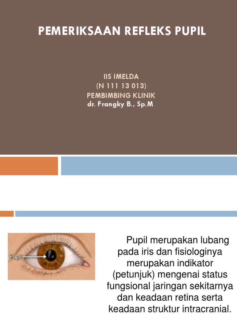 Presentasi Refleks Pupil | PDF | Pengembangan Diri