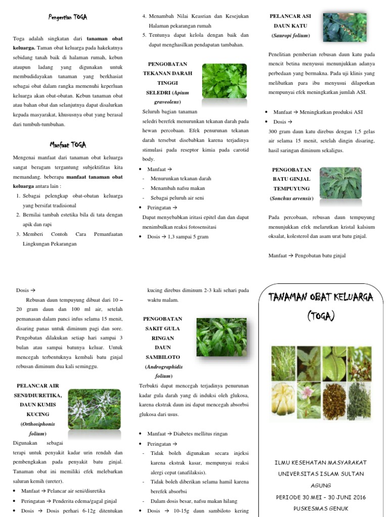 Leaflet Toga 2 | PDF | Kesehatan Holistik