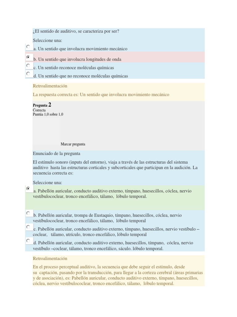Proceso Auditivo: Anatomía y Función | PDF | Percepción visual | Escuchando