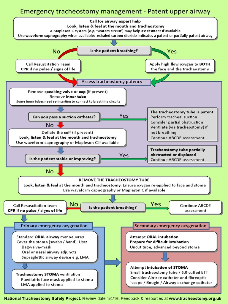Patent Airway Algorithm PDF | PDF | Breathing | Medical Treatments