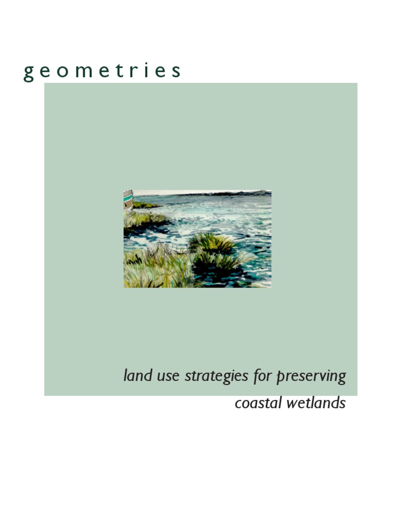 Wetlands Report | PDF | Wetland | Mangrove