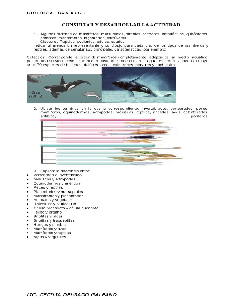 Clasificacion de Los Seres Vivos y Celula | PDF | Organismos | Algas