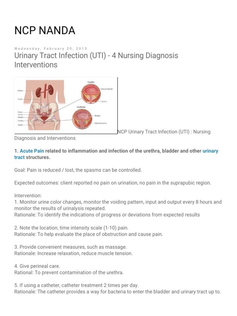 Urinary Tract Infection (UTI) - 4 Nursing Diagnosis Interventions | PDF ...