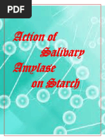 Lab Report Bio270 As1203g (Adam, Harith, Amin, Syakir) | PDF | Starch ...