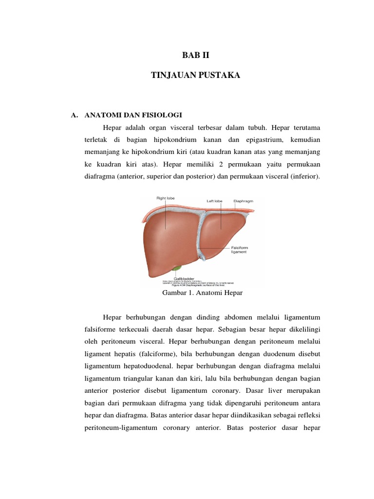 Bab Ii Radiologi Trauma Hepar | PDF