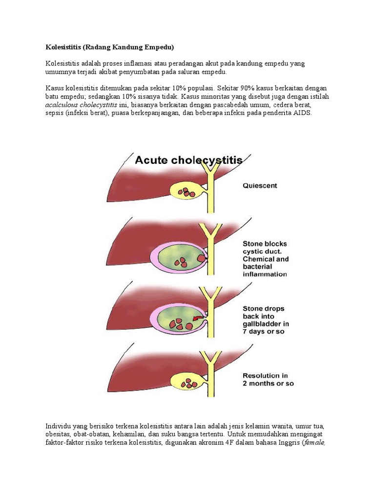 Kolesistitis (Radang Kandung Empedu) | PDF