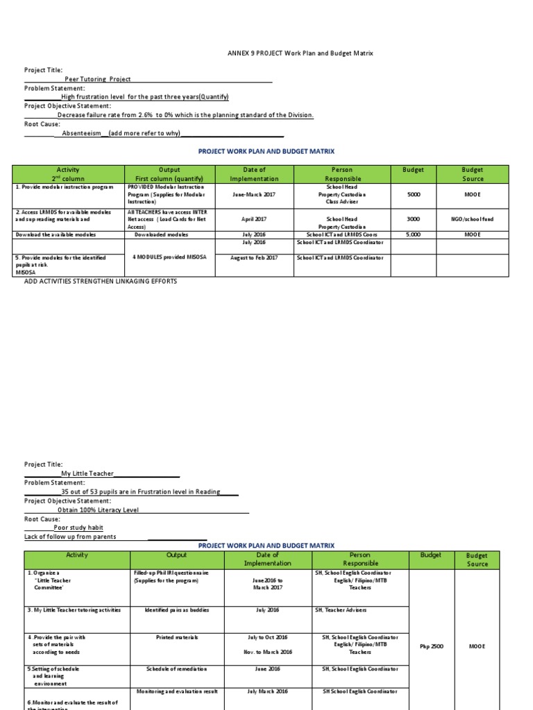 ANNEX 9 PROJECT Work Plan and Budget Matrix | PDF | Educational Technology | Learning