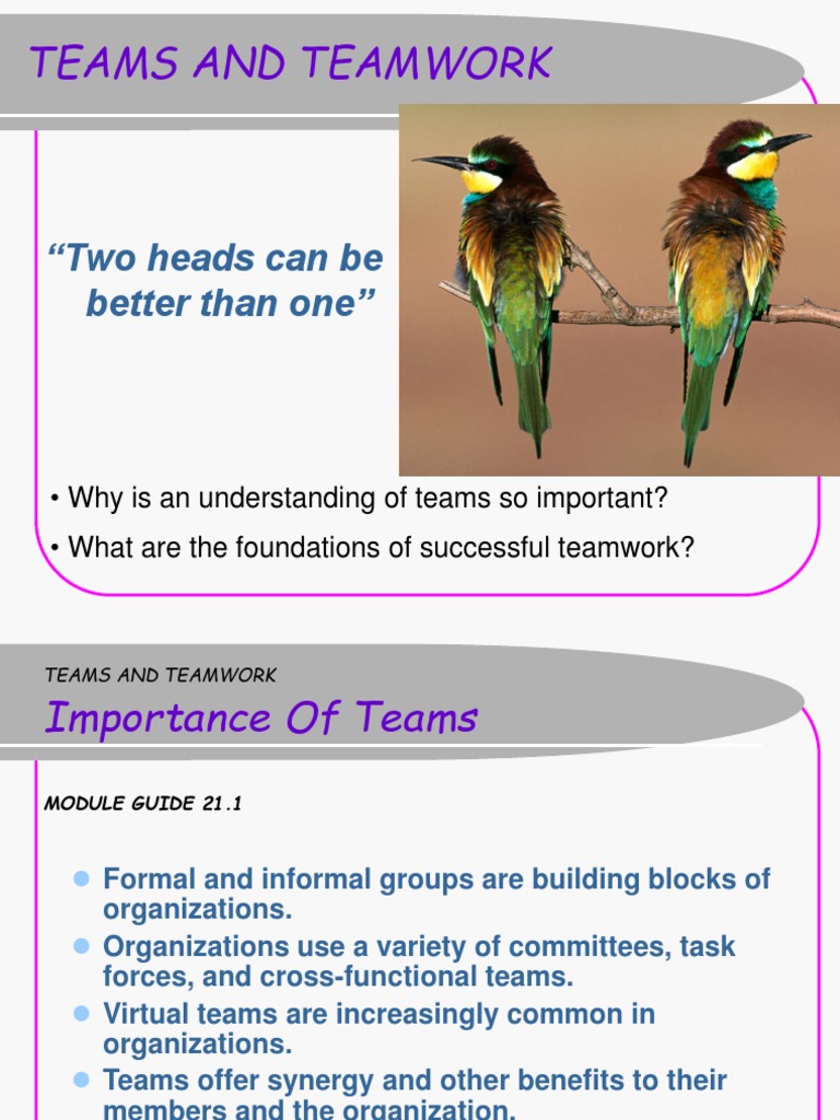 Foundations of Effective Teams: A Guide to Understanding Team Dynamics ...