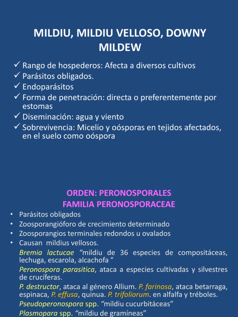 Mildius, Mildiu Velloso, Downy Mildeu | Horticultura y jardinería ...