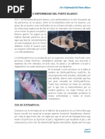 Enfermedades de Los Peces | PDF | Hongo | Acuario