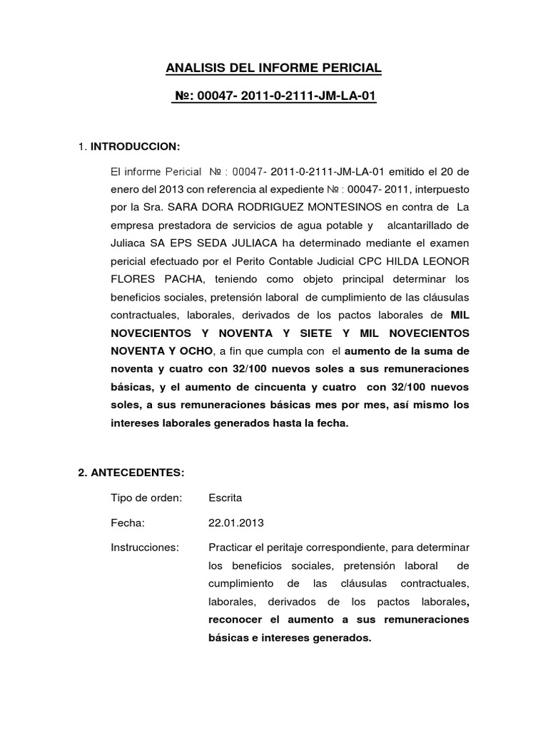 Modelo Informe Pericial | PDF | Salario | Estado (política)