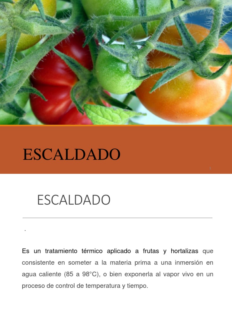 Escaldado y Sulfitado 2016 | PDF | Dióxido de azufre | Vacío