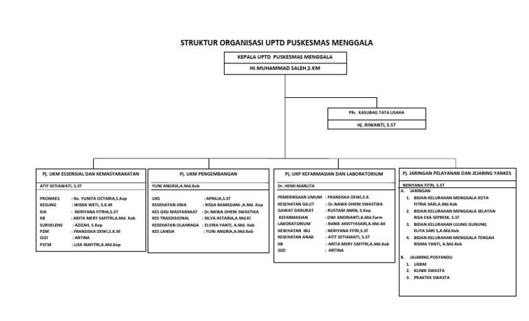 Struktur Organisasi Upt Puskesmas Menggala | PDF