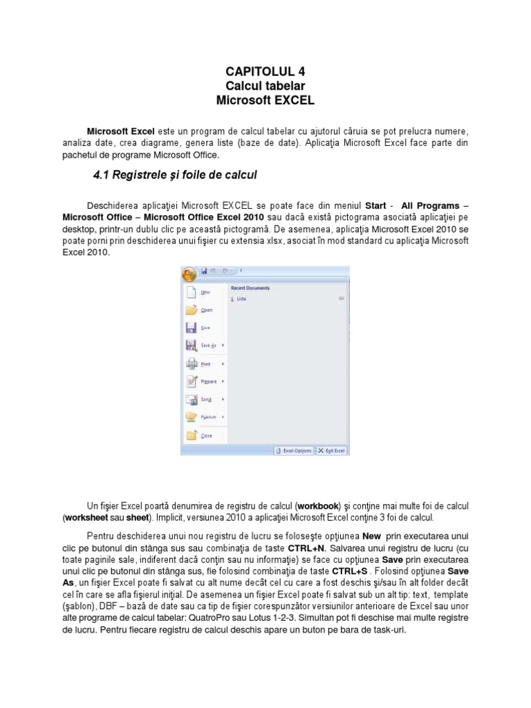Documentatie EXCEL | PDF