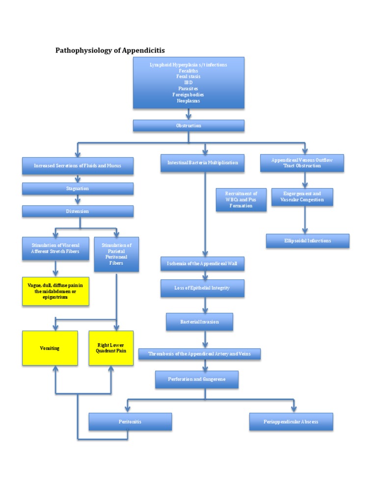 Pathophysiology of Appendicitis: Vague, Dull, Diffuse Pain in The ...