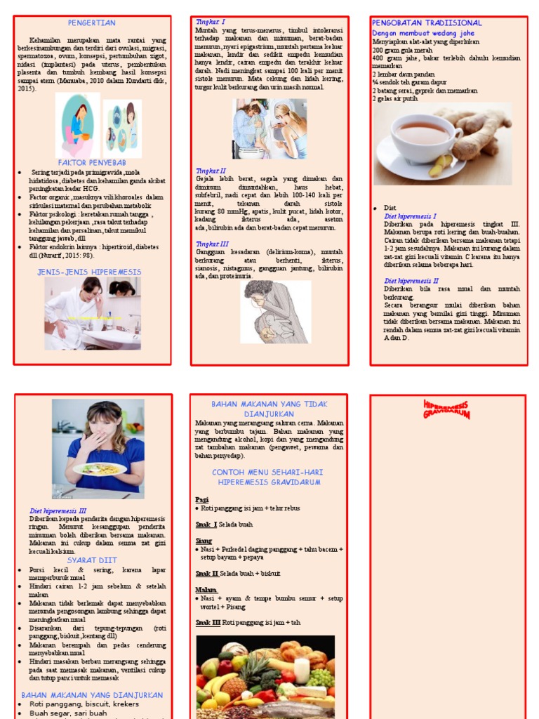 Leaflet Hiperemesis Gravidarum | PDF