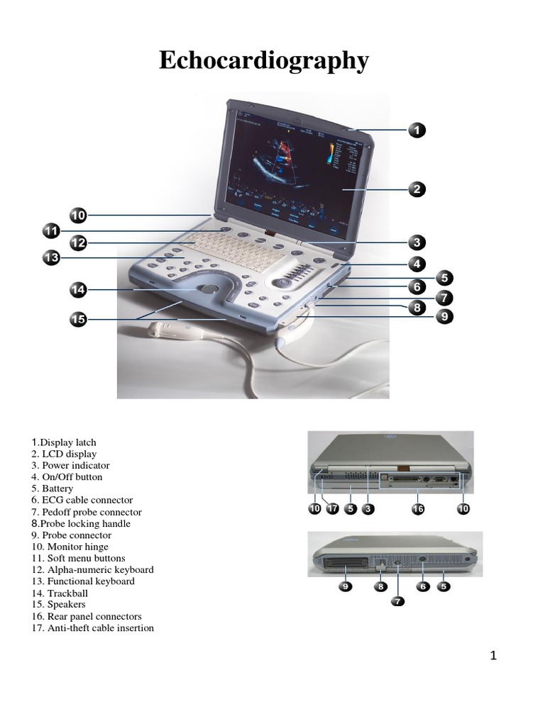 Echo Petunjuk Penggunaan | Download Free PDF | Heart Valve | Ventricle (Heart)