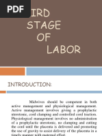 WHO Labour Care Guide | PDF | Childbirth | Human Pregnancy