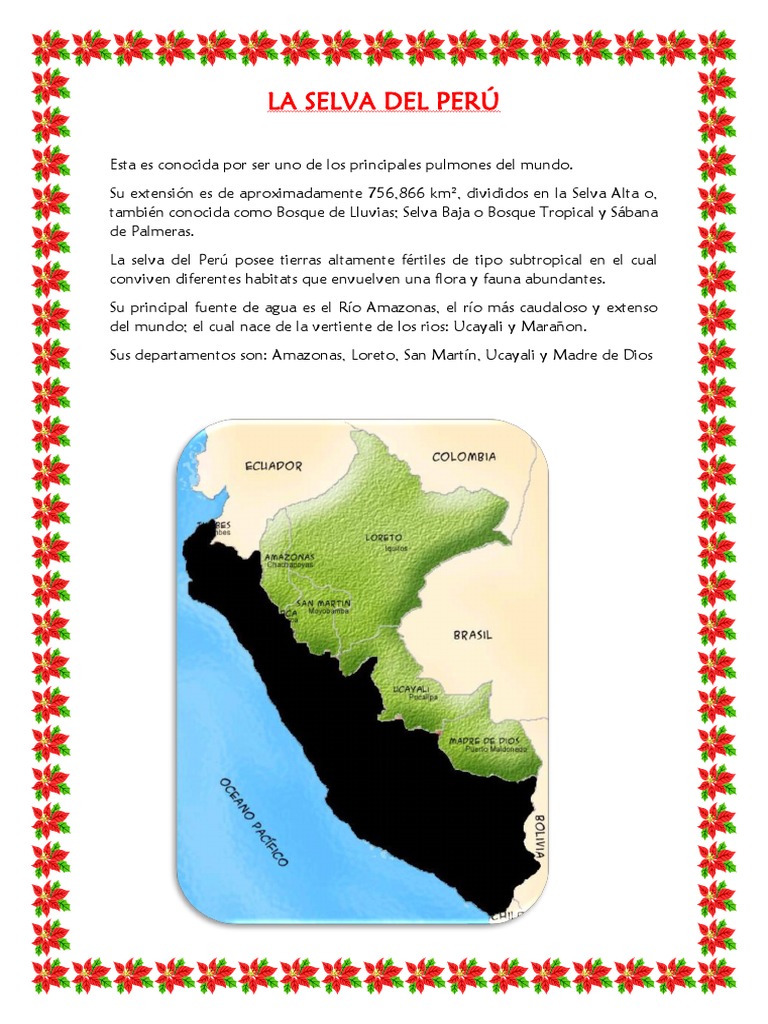 La Selva Del Perú | PDF | Selva | Perú