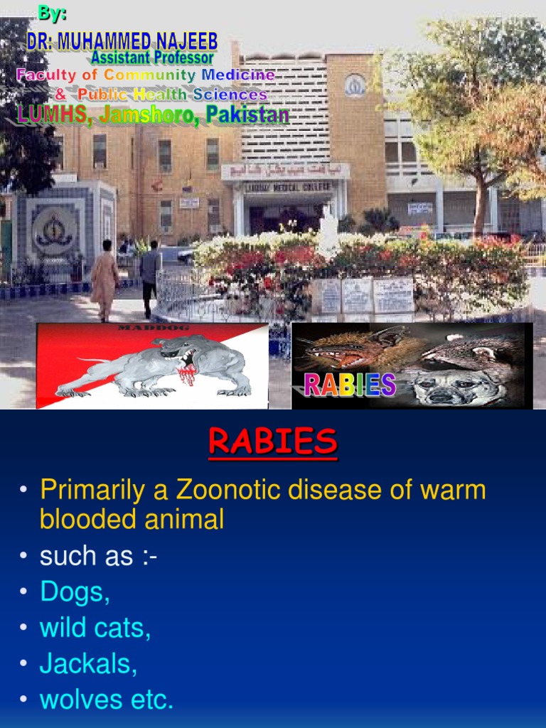 Rabies by DR Najeeb Memon Pakistan | PDF | Rabies | Virus