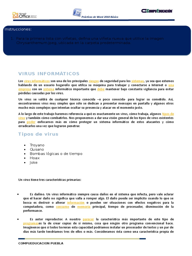 Viñetas | PDF | Virus de computadora | Edad de información