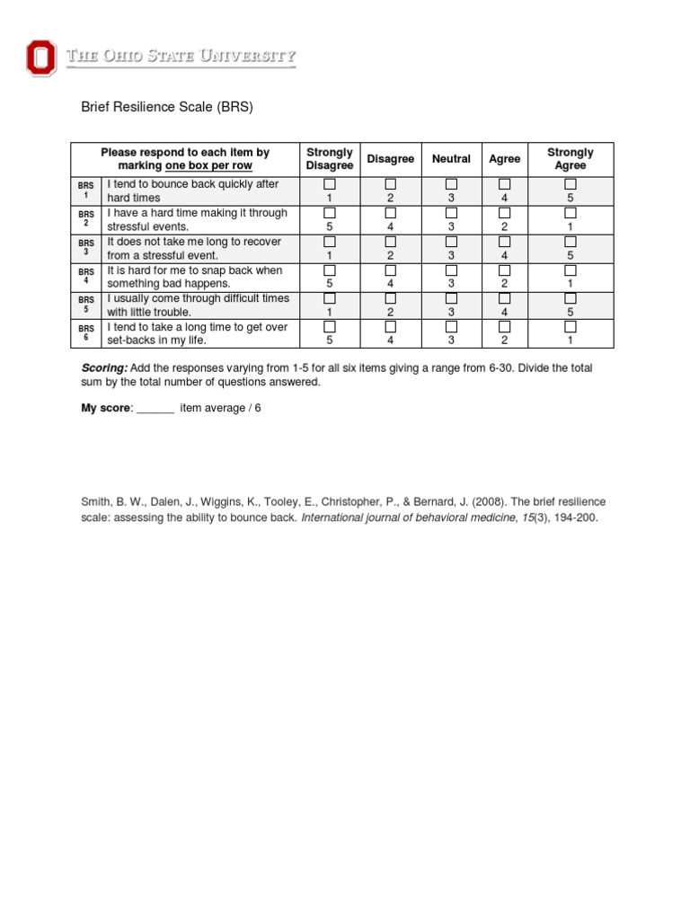 Brief Resilience Scale (2)