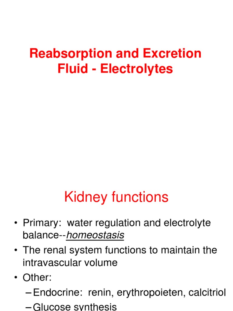 1 5 2 5 Reabsorpsi Dan Ekskresi Cairanelektrolit | PDF | Kidney | Organ ...