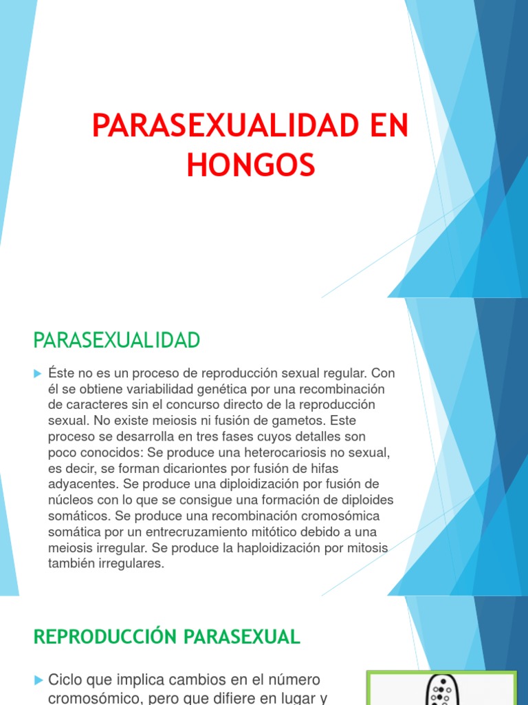 Ciclo Parasexual en Hongos | PDF | Recombinación genética | Mitosis